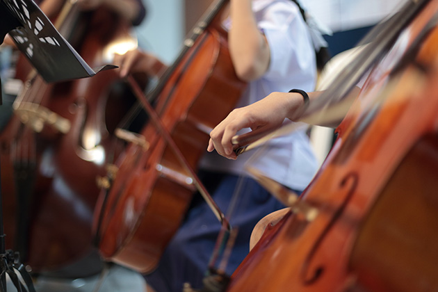 Benedetti Foundation Opens Applications for Teacher Training and ...